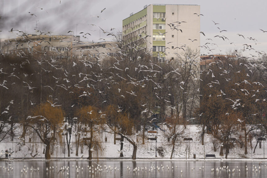 Temperaturi de minus 12 grade în București, cod galben de frig activat ...