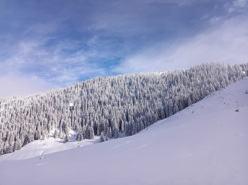 Salvamont Suceava: traseele montane de evitat și lucruri necesare ...